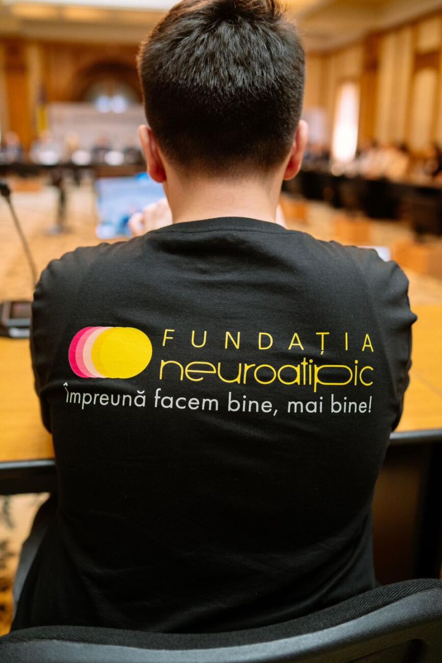 Ghiduri de prevenire și gestionare a bullyingului – Revista Pentru Patrie
